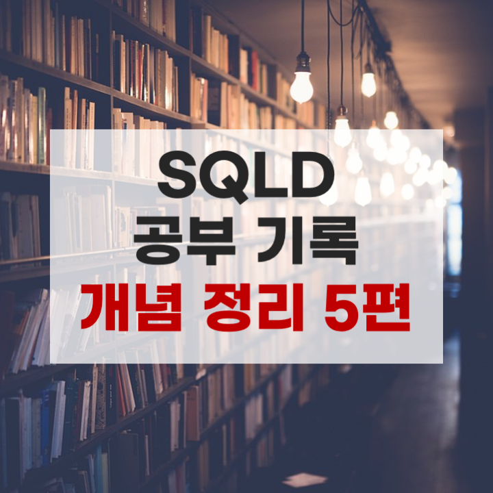 2024 SQLD 시험 준비 - 개념 정리 5편