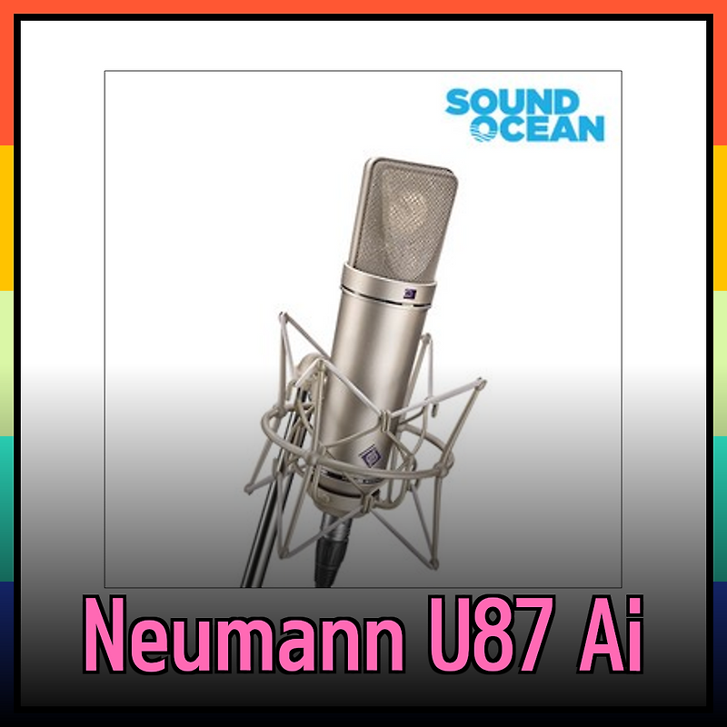 Neumann U87 Ai 스튜디오 마이크: 최고의 녹음 품질을 경험하세요!