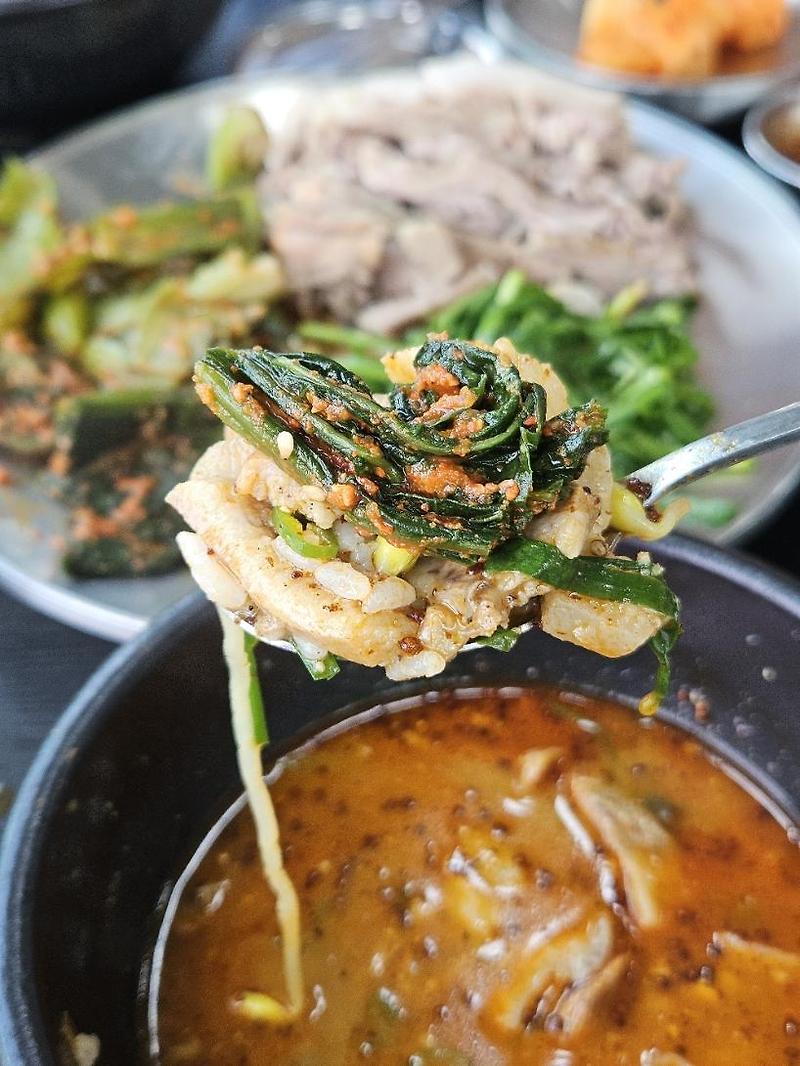 2024년 11월 12일 강원도 / 인천 신상 맛집, 카페 리스트 (110개소)