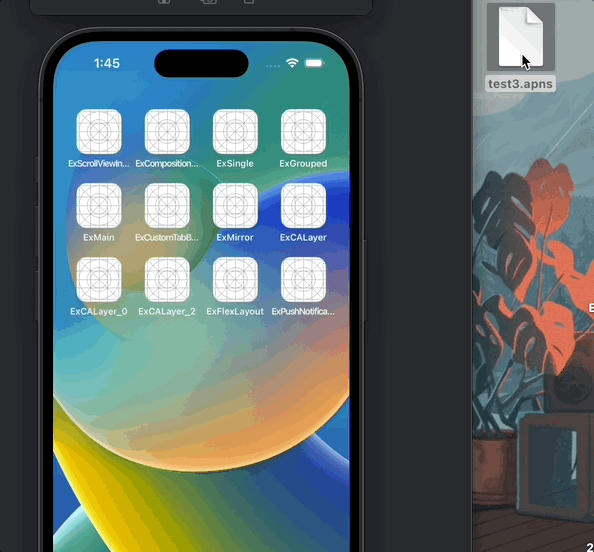 [iOS - swift] Push Notification 간단 테스트 방법 (시뮬레이터)