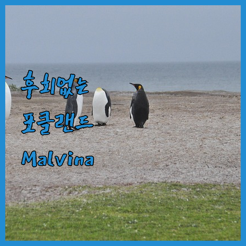 Malvina House Hotel, 후회 없는 선택! 포클랜드 여행을 더욱 특별하게!