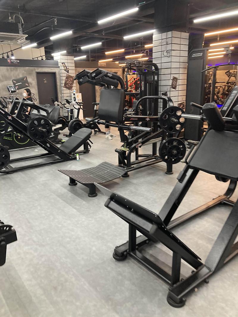New tech Wellness V Squat / 뉴텍 브이스쿼트