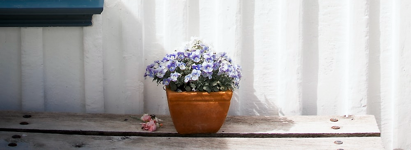 Section3 Unit1 [자료구조/알고리즘] 재귀 - 과제 JSON.stringify, Tree UI