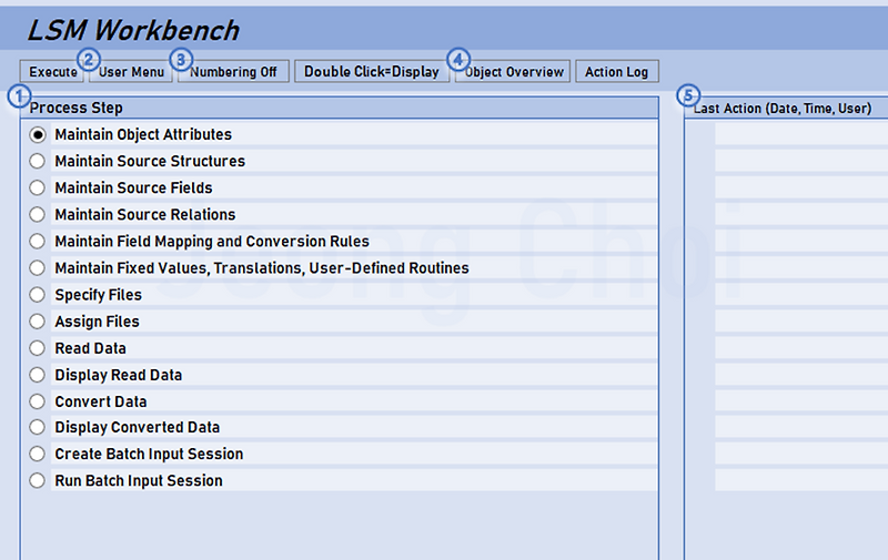 SAP LSM Workbench (Legacy System Migration Workbench; LSMW): 2. 단계별 프로세스 #1
