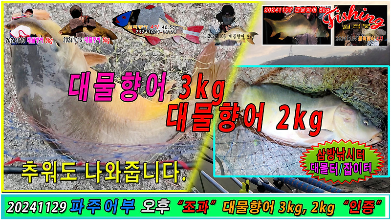 20241129 대물향어 3kg, 2kg 입질/챔질/힘! 겨루기 "인증" 함박눈 길/장대 쏠채(떡밥) 던지기 올립니다. 파주 삼방낚시터