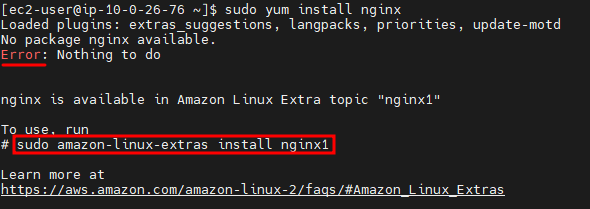 Amazon Linux2에 nginx 설치하기