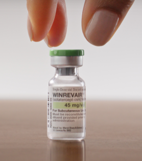 윈리베어(WINREVAIR) : sotatercept - MERCK사는 PAH시장을 먹을 수 있을 것인가