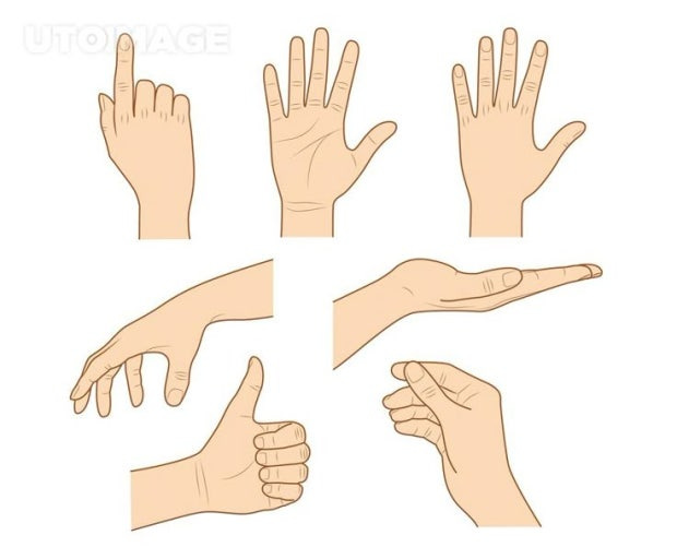 성격] 손 모양으로 알아보는 성격 - 1편
