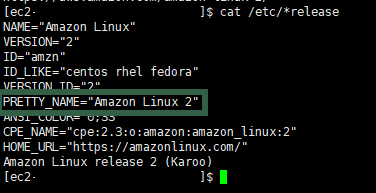[참고][JAVA11 설치필요] EC2(Amazon Linux 2)에 Jenkins 설치!!