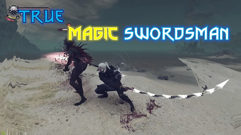 Action RPG Witcher 3 New Sign Build Mod - Assassin's Magic / 액션 RPG 위쳐 ...