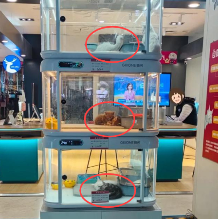 하다 하다 이제 '반려동물 자판기'까지 나왔다 - 이색 자판기 모음