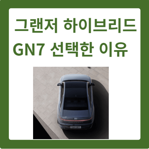 그랜저 하이브리드 GN7 깡통 선택 이유, 연비, 가격 가성비 위주