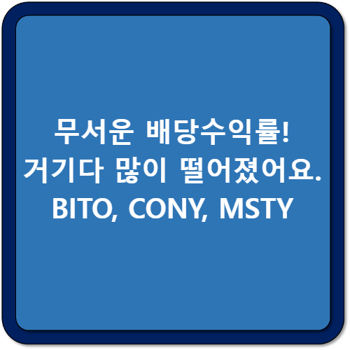 무서운 배당수익률! 거기다 많이 떨어졌어요. BITO, CONY, MSTY