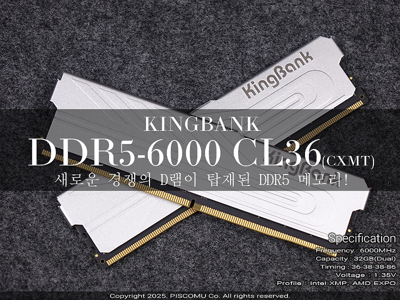 새로운 경쟁의 D램이 탑재된 DDR5 메모리! 킹뱅크(KingBank) DDR5-6000 CL36(CXMT)