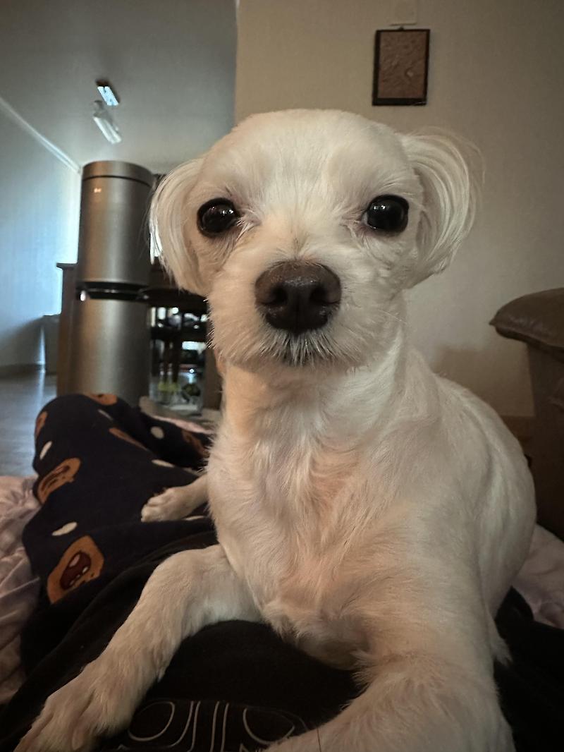 Amazon Simple Queue Service(SQS)