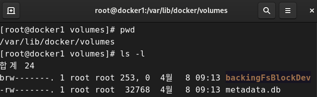 Docker volume/bind mount
