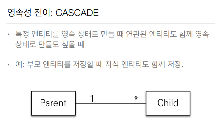 [김영한] 자바 ORM 표준 JPA 프로그래밍 - 섹션 8. cascade, orphanRemoval