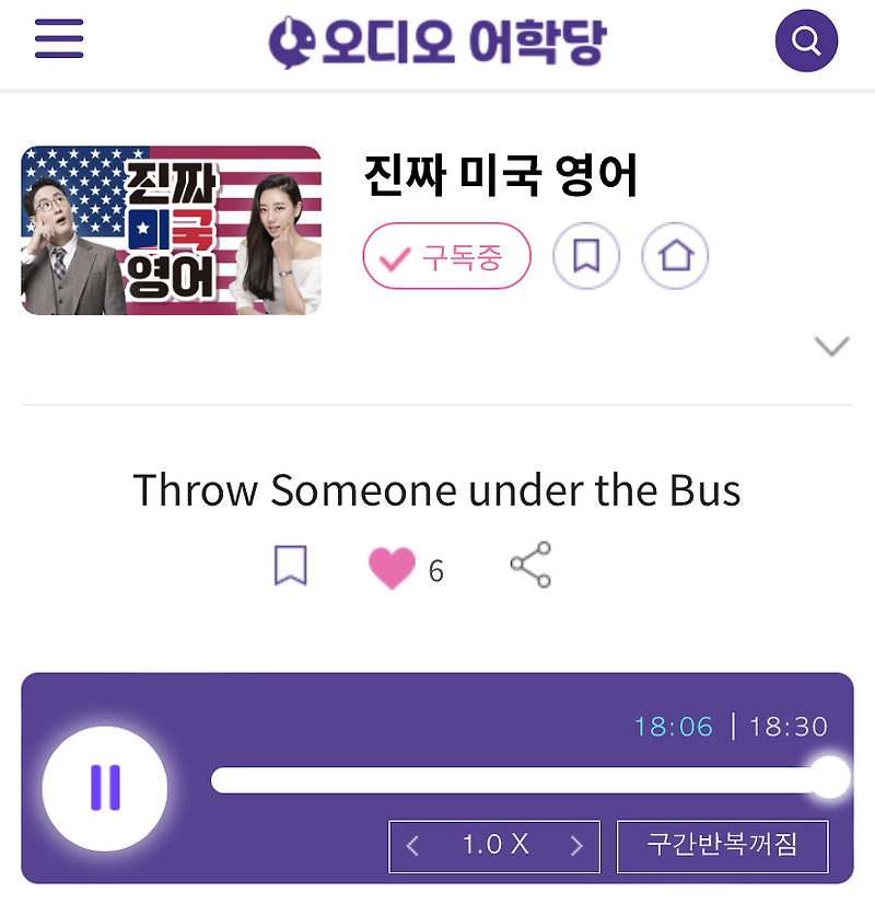 23.11.17.금 진짜 미국 영어 Throw Someone under the Bus 희생양으로 만들다 sell someone ...