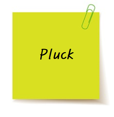 422. Pluck - English Vocabulary - Pluck / Plucky / Pluck Up Courage ...