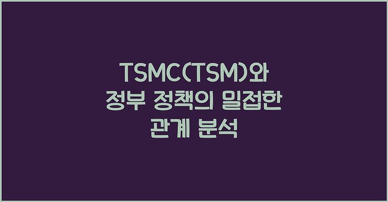 TSMC(TSM)와 정부 정책의 밀접한 관계 분석