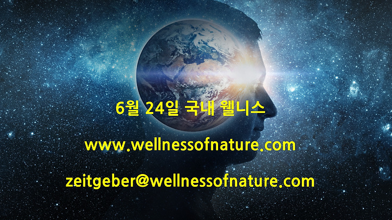 2024년 국내 웰니스 뉴스