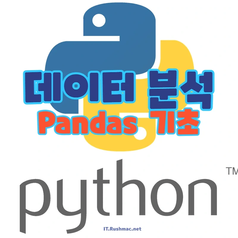 Pandas로 배우는 Python 데이터 분석 기초 실전 예제 포함 