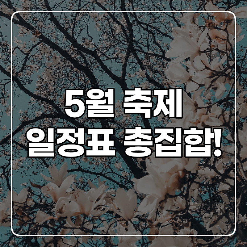 5월 축제일정표 2023년 싹 다 정리함 푸박