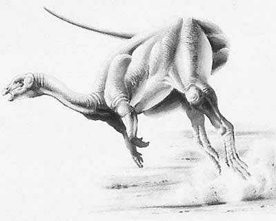 ?scode=mtistory2&fname=https:%2F%2Fblog.kakaocdn.net%2Fdn%2FZTdrK ...