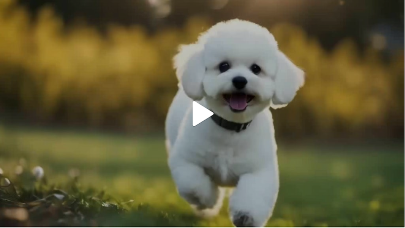 3-3. Frame interpolation using FILM and OpenVINO