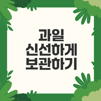 과일 보관 꿀팁은 무엇일까