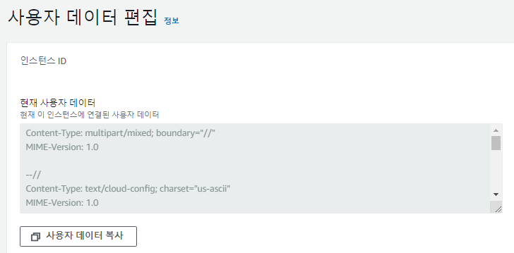 EC2의 user data를 사용해 Init Script 작성