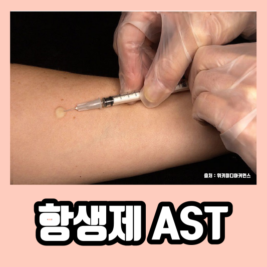 항생제 AST 하는 방법