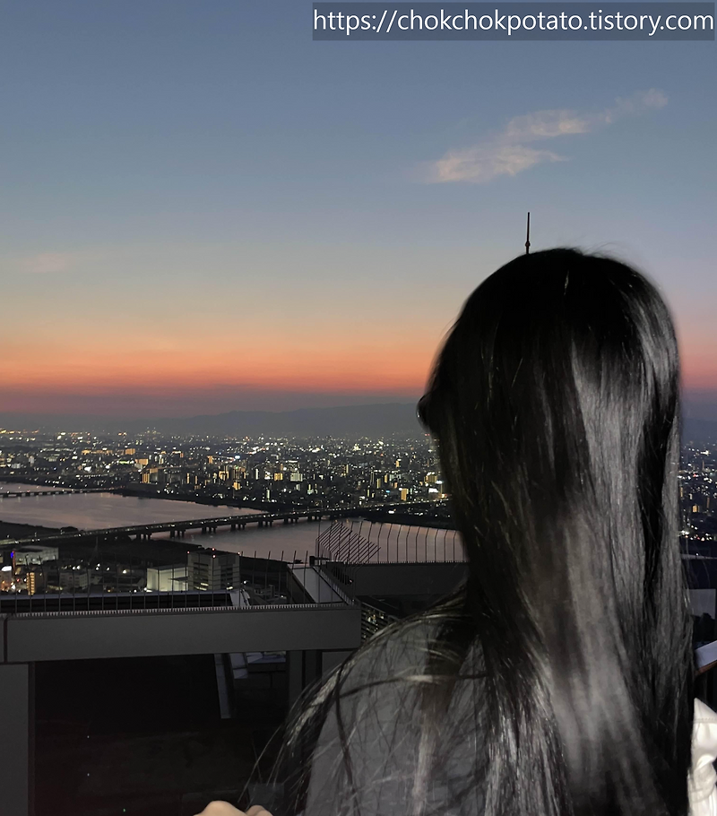 낮도, 황혼도, 야경도 아름다운 오사카 우메다 공중공원 (가는 법/ 가격 / cafe sky 40 카페 후기)