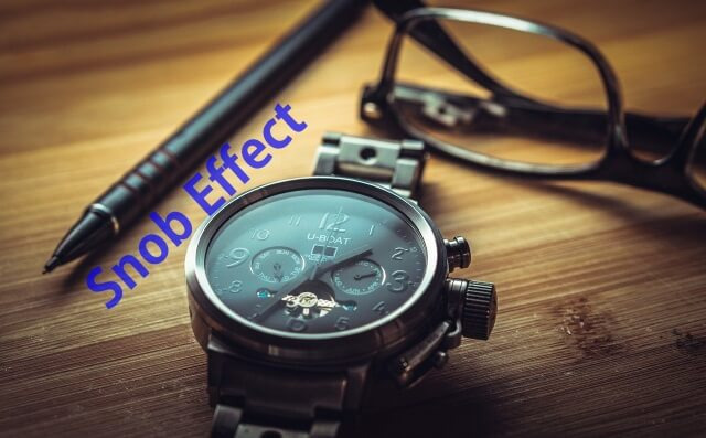 스놉 효과 (Snob Effect) 베블런과 차이는