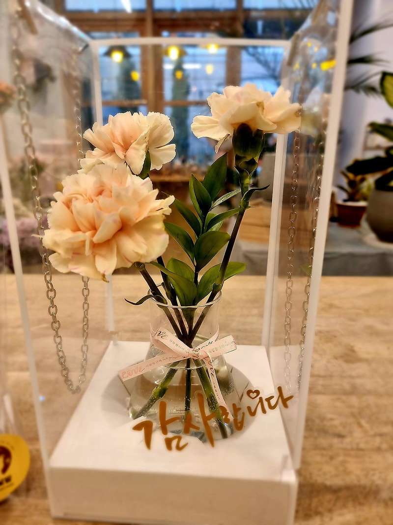 Ruscus makes cut flowers more fresh