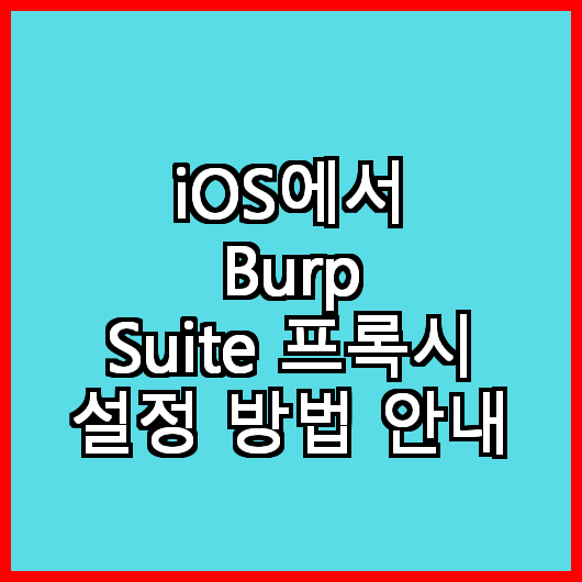 iOS에서 Burp Suite 프록시 설정 방법 안내