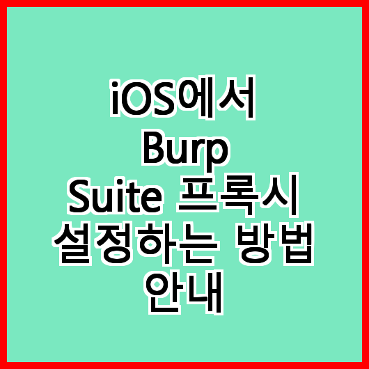 iOS에서 Burp Suite 프록시 설정하는 방법 안내