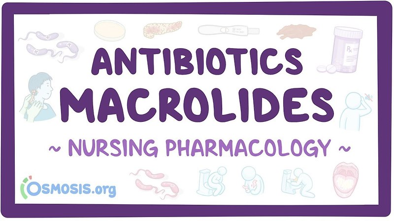 Antibiotics - Macrolides: Nursing Pharmacology