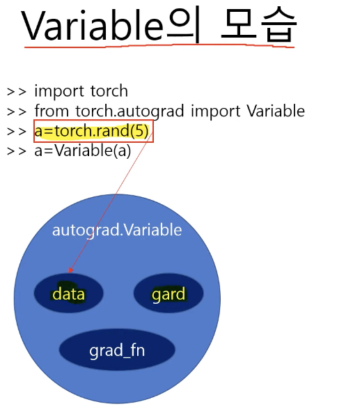 Pytorch의 'AutoGrad' 과정을 하나하나 뜯어보자!