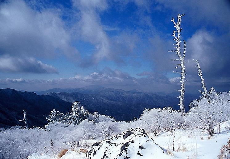 ?scode=mtistory2&fname=https:%2F%2Fblog.kakaocdn.net%2Fdn%2Fb0Turq ...