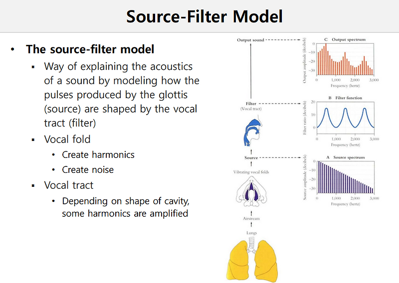 Speech Production (Source-Filter Model)
