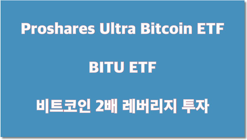 BITU ETF - 비트코인 2배 레버리지 투자