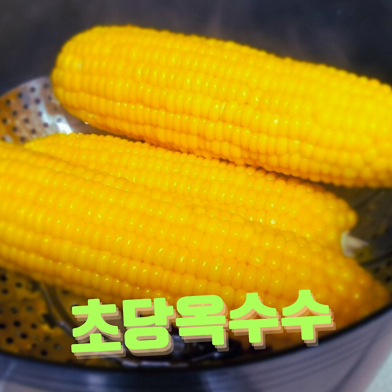 맛있는 초당옥수수: 완벽하게 요리하는 세 가지 방법! — 철인31호