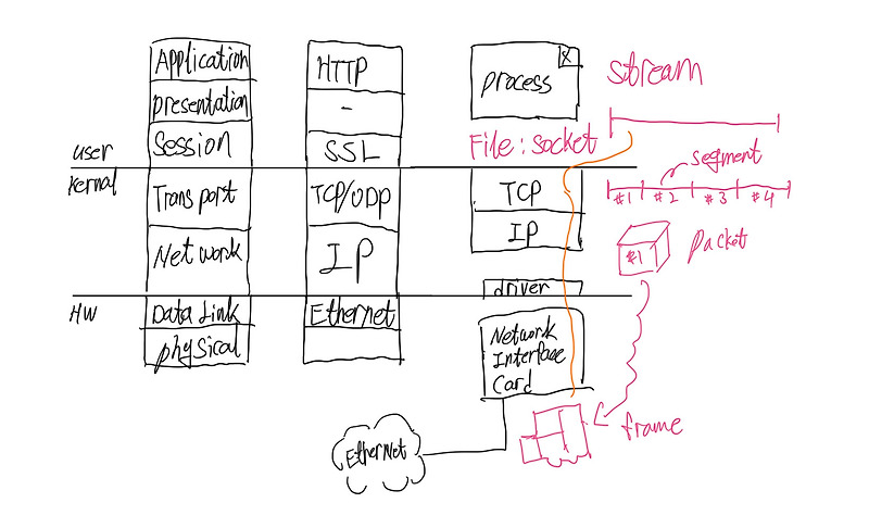 OSI 7계층에서의 데이터 흐름 — ptcman