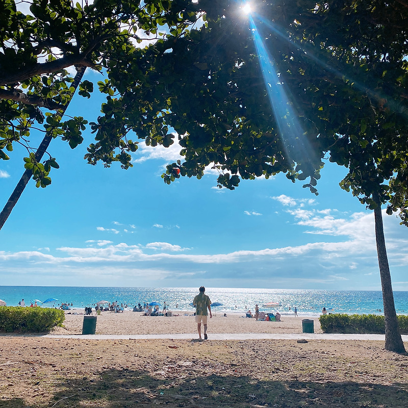 [Opic AL 도전] 가장 기억에 남는 여행 문장 10개 (the most memorable trip)