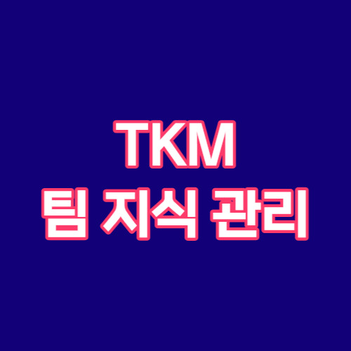 TKM ; Team Knowledge Management
