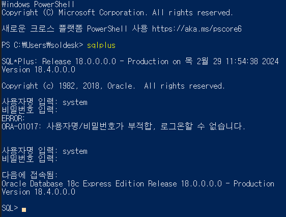 Oracle Database Windows 설치