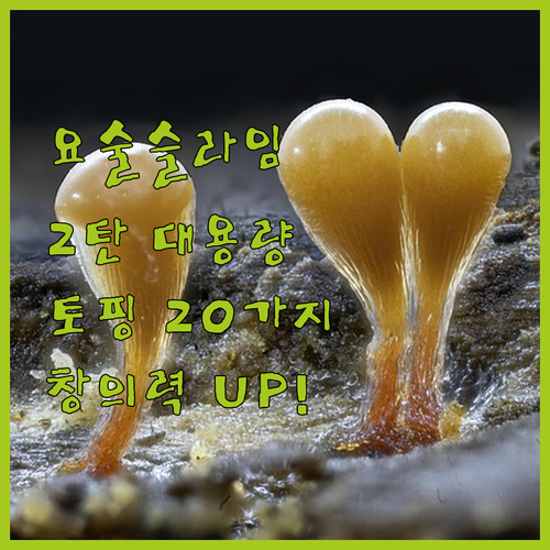 🌈 MYTOYS 요술슬라임 2탄! 540g 대용량, 20가지 토핑으로 창의력 UP! 💖