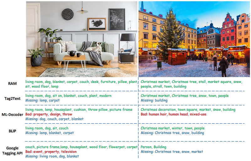 Recognize Anything: A Strong Image Tagging Model (RAM)