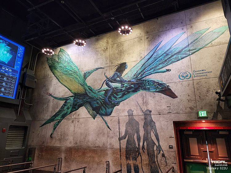 미국 [1-9] 애니멀 킹덤(Disney’s Animal Kingdom)